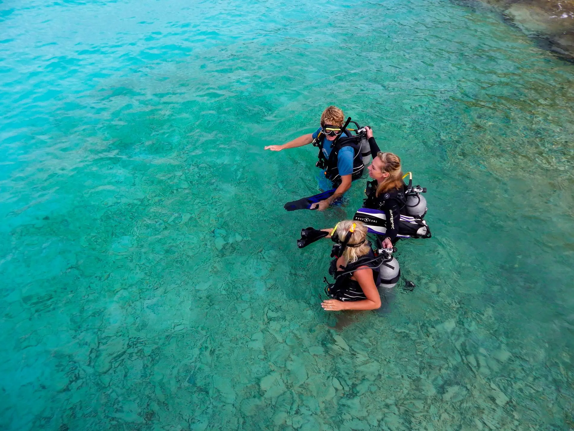 Refresh Scuba Dive | Dive back in with Coral Divers